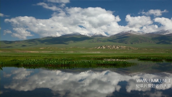 BBC记录片《美丽中国/野性中国/ Wild China 2008》全6集 国粤英三语中英字幕 1080P/MKV/12G 中国自然生态纪录片 ...