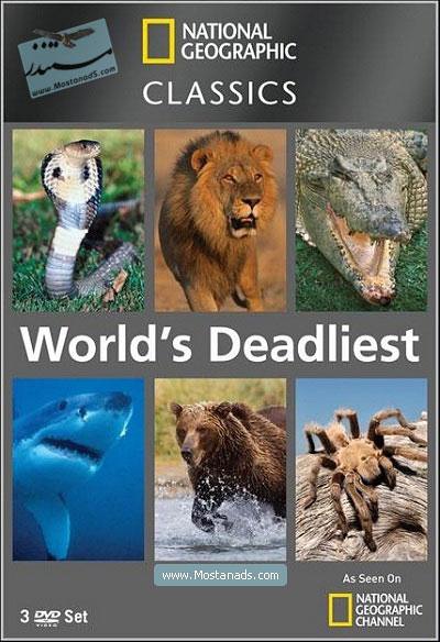 国家地理《世界致命动物系列 Worlds Deadliest Animals》 共6集 英语中字 448P/MKV/1.79G 致命动物-纪录天堂